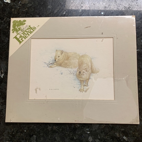 Martin Glen Loates | Art | New White Foxes In Snow By Martin Glen ...